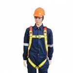 Dockstocker - Rapid Forklift Training